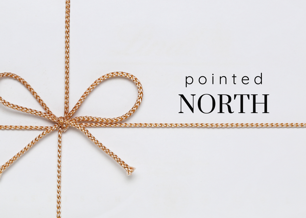 Products – Page 5 – Pointed North